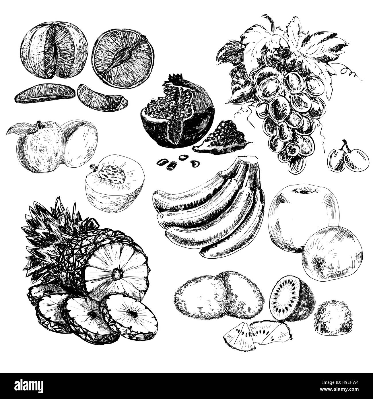 Fruits collection. Set of hand drawn graphic illustration in sketch ...
