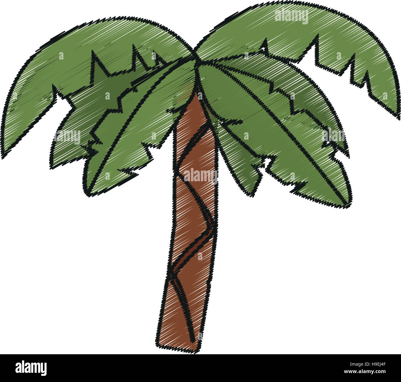 Isolated palm tree design Stock Vector Image & Art - Alamy