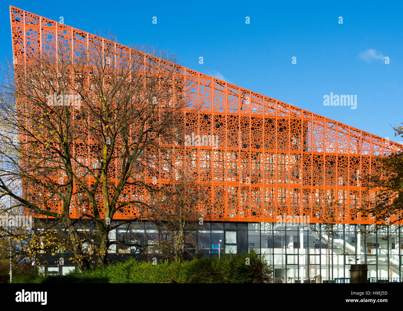 Ibi hi-res stock photography and images - Alamy