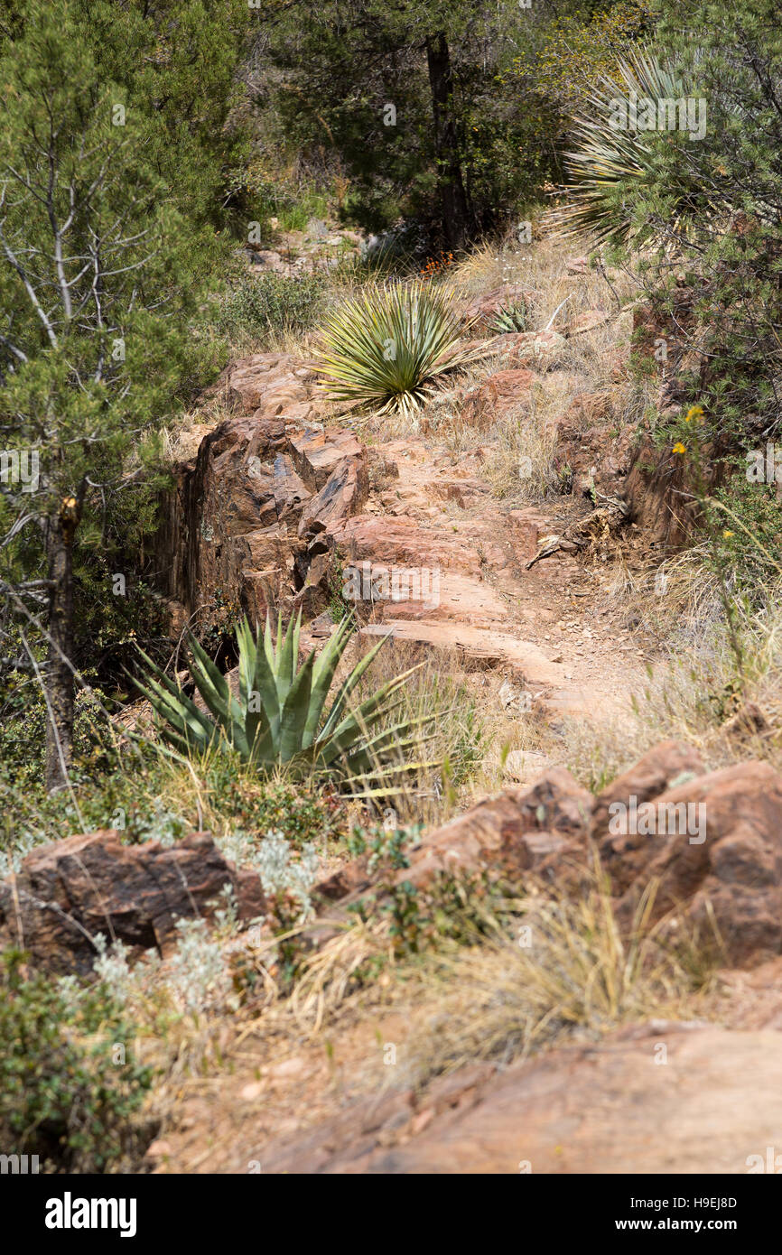 The Arizona Trail climbing over a small rocky ledge in the Mazatzal ...