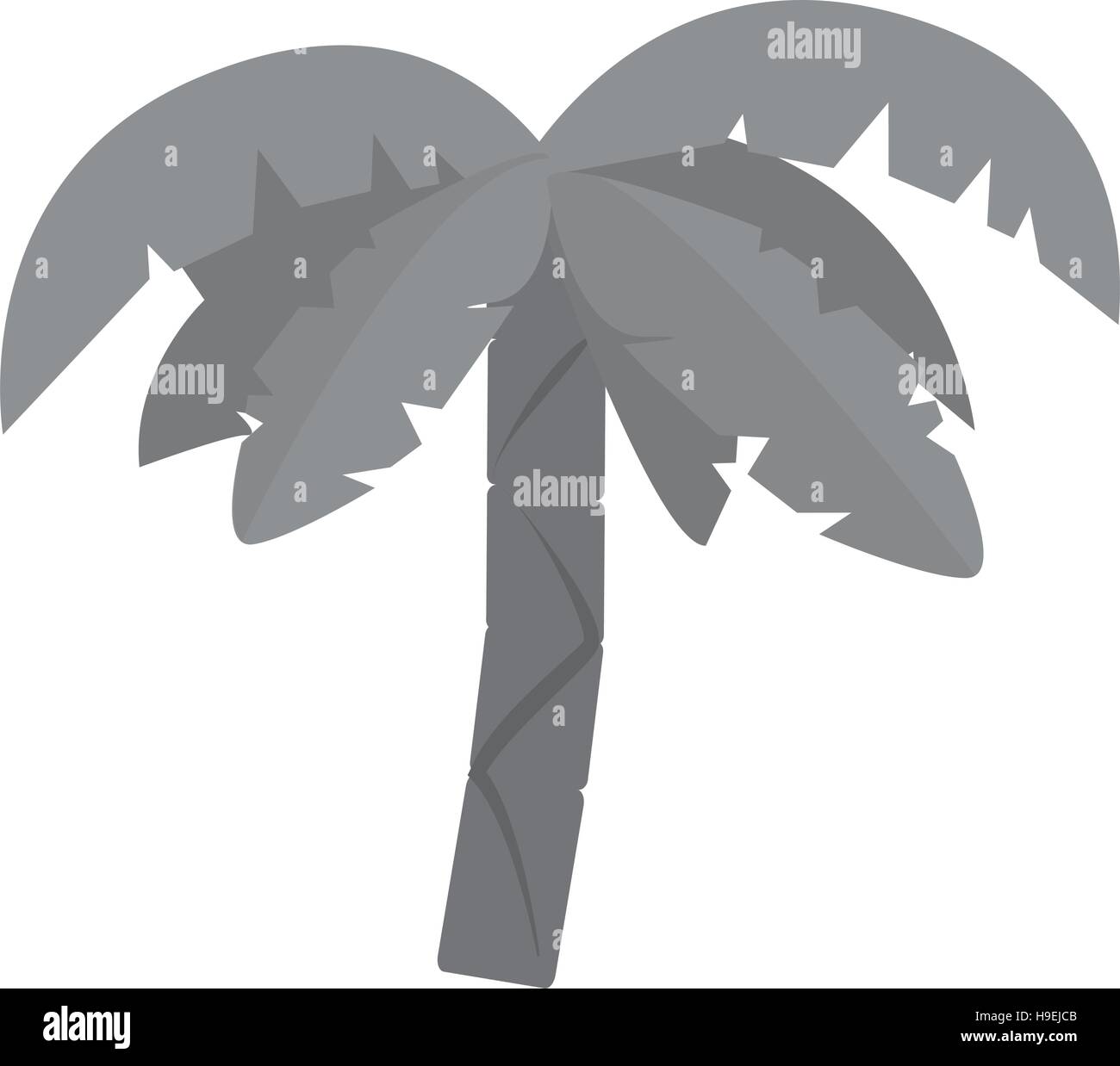 Isolated palm tree design Stock Vector Image & Art - Alamy