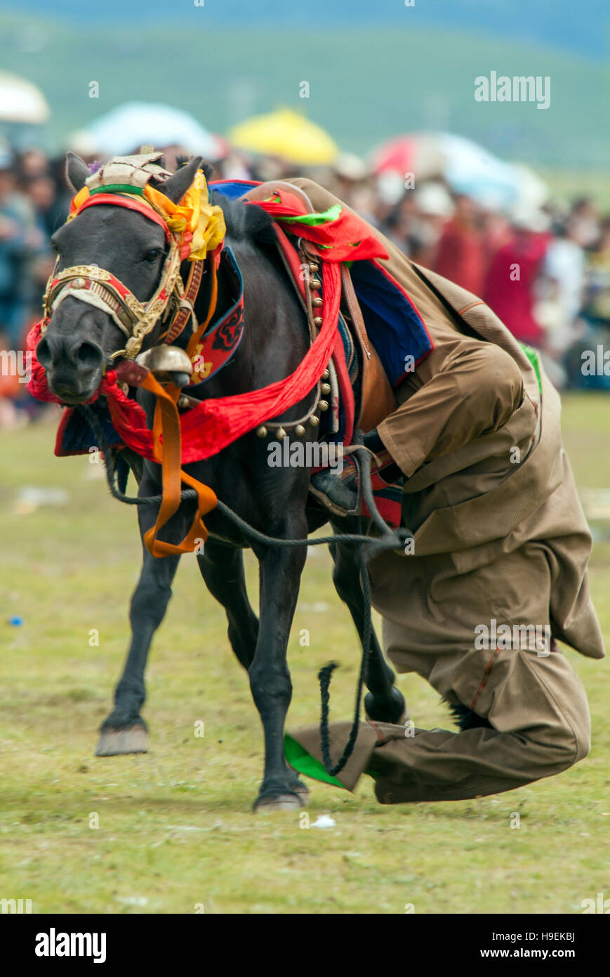 Horsemen perform horse acrobatics at the annual Litang Horse Racing ... Horsemen perform horse acrobatics at the annual Litang Horse Racing ...