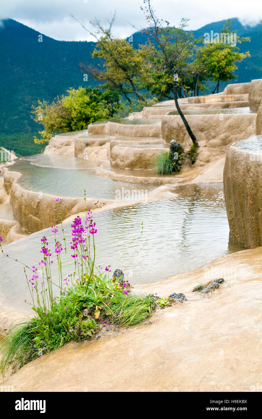 White Water Terraces, also known as Baishui Tableland, located in the ...
