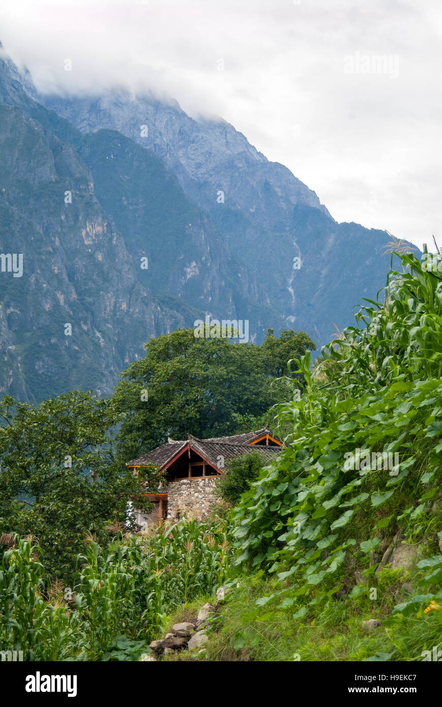 Clinging To Sides High Resolution Stock Photography and Images - Alamy