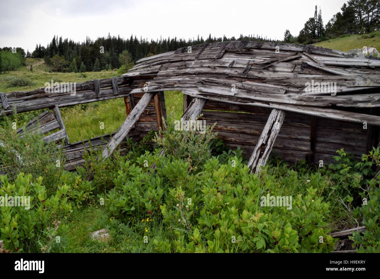 Old wooden cabin in the ghost mining town of Caribou, Colorado Stock ...