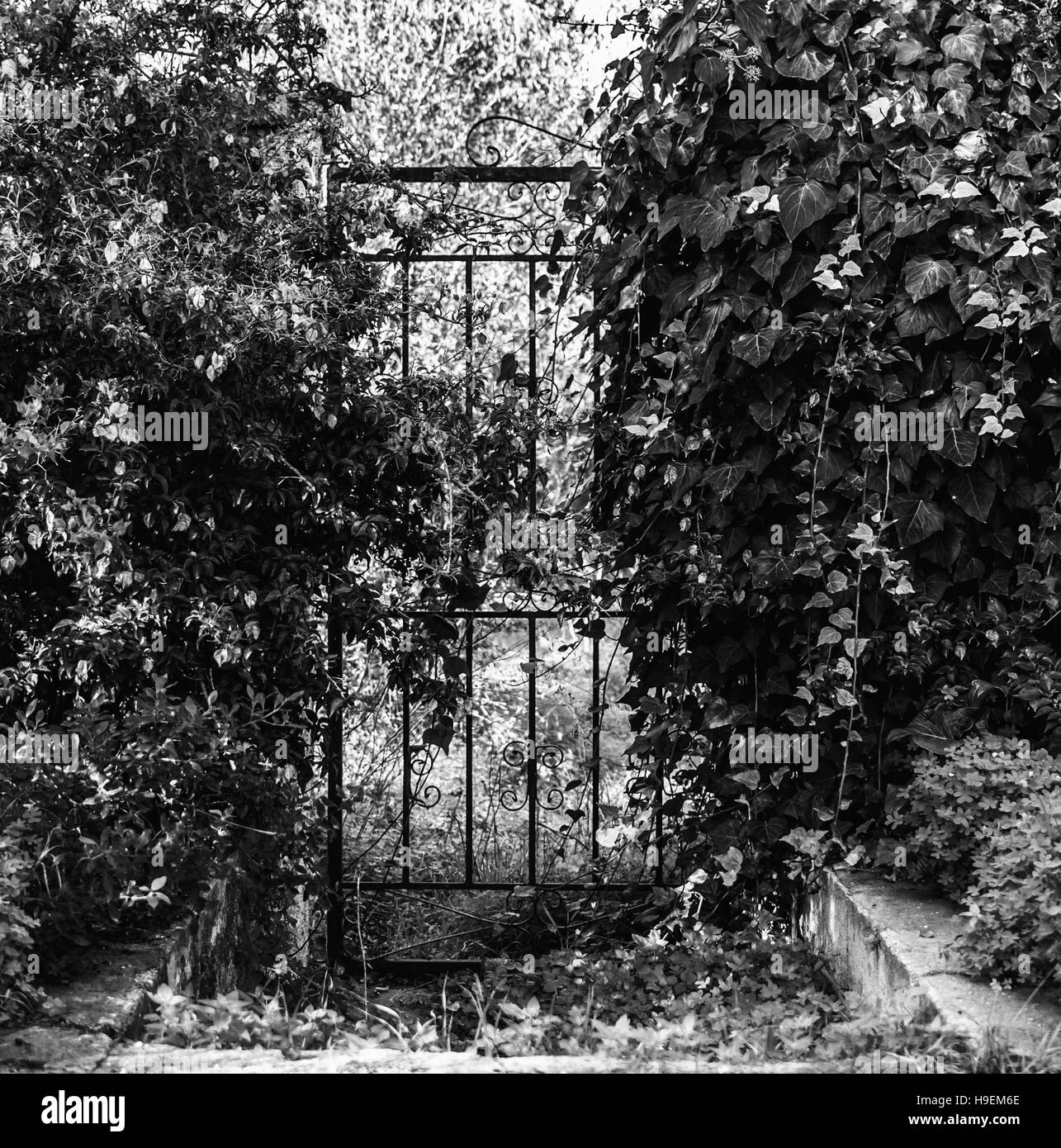 Old black metal gate hi-res stock photography and images - Alamy