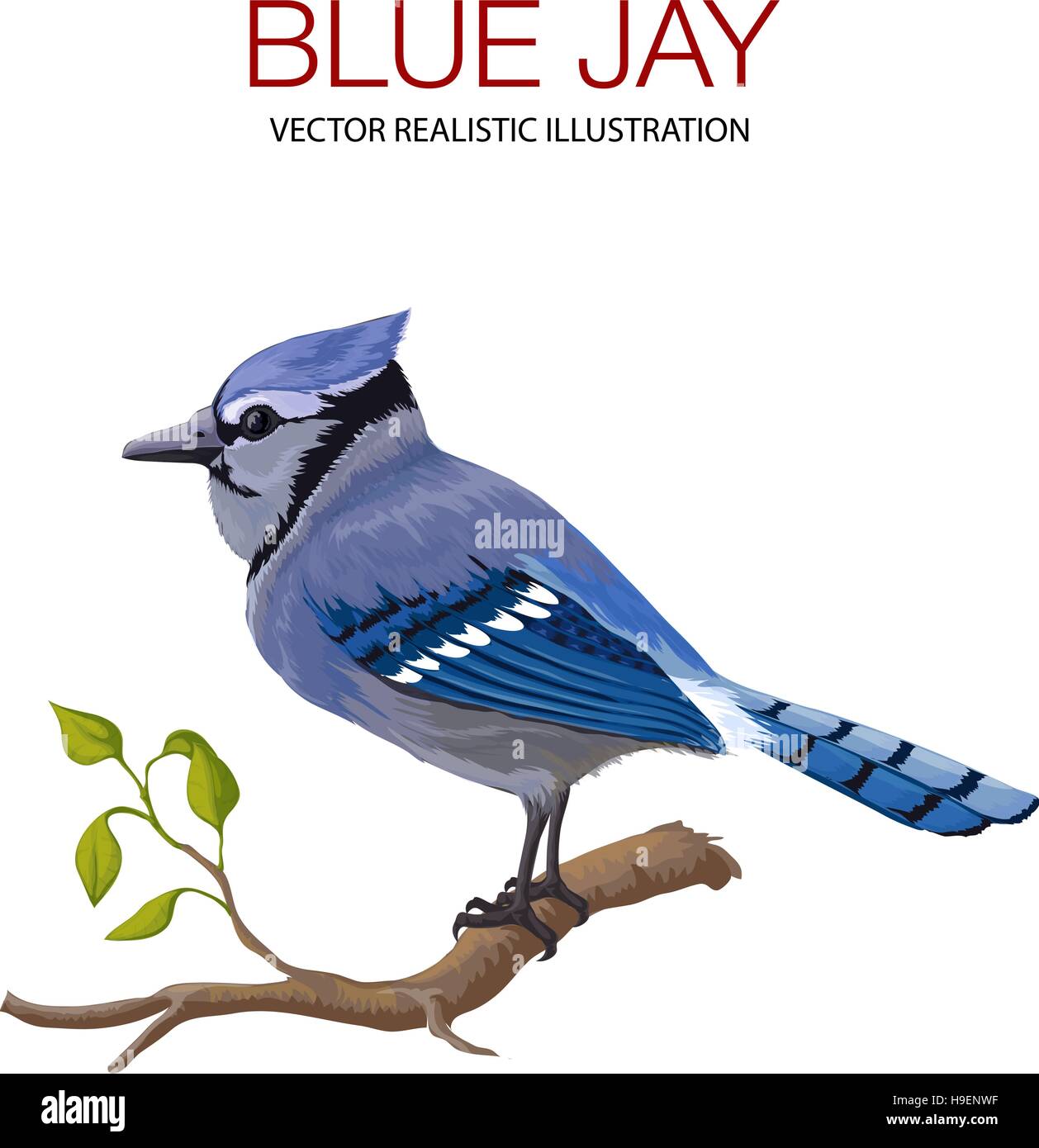 Vector illustration made in a realistic style Stock Vector Image & Art ...