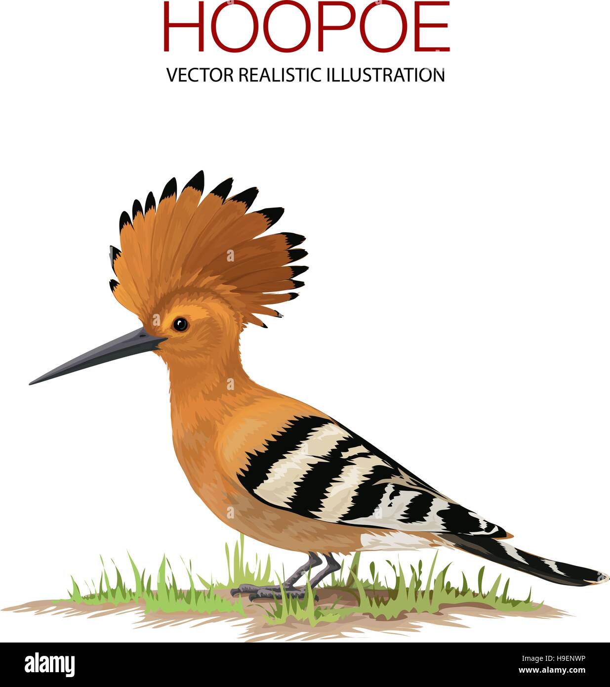 Decorative realism Stock Vector Images - Alamy