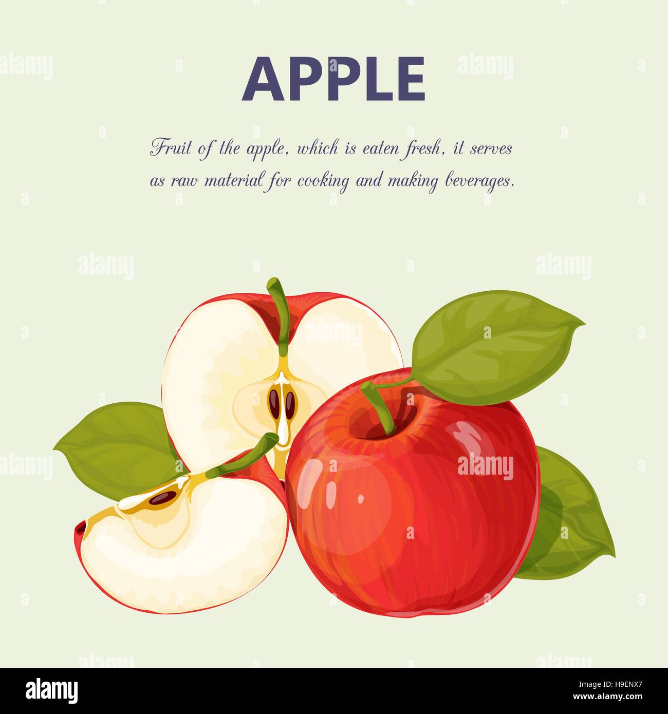 Illustration fruit composition filled in by hand in a vector Stock ...