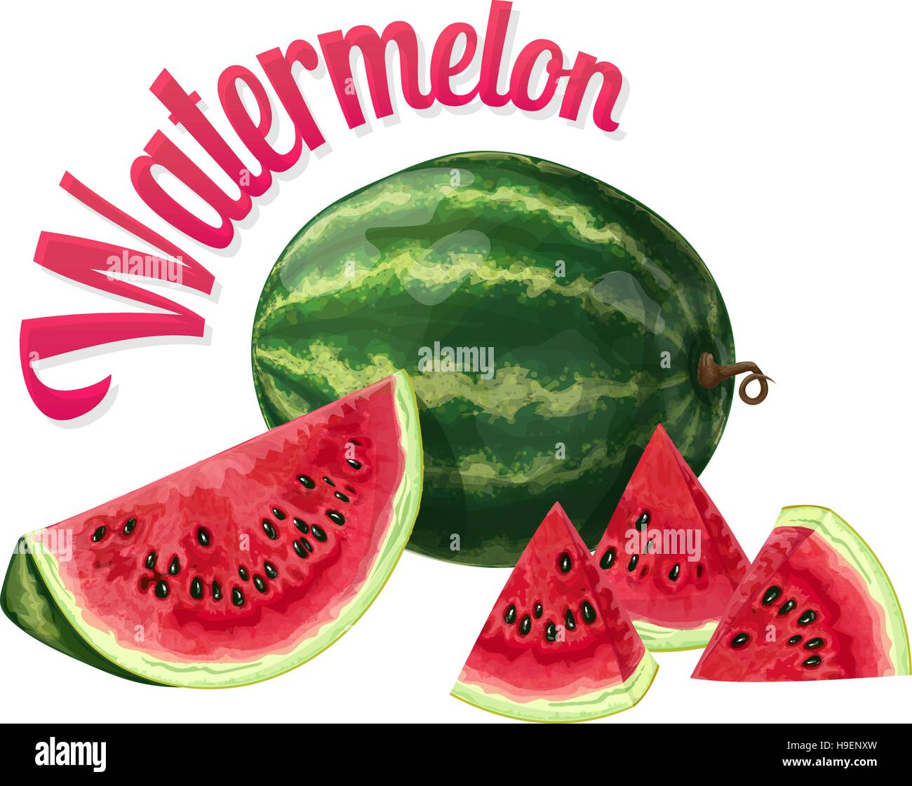 Watermelon. Vector illustration Stock Vector Image & Art - Alamy