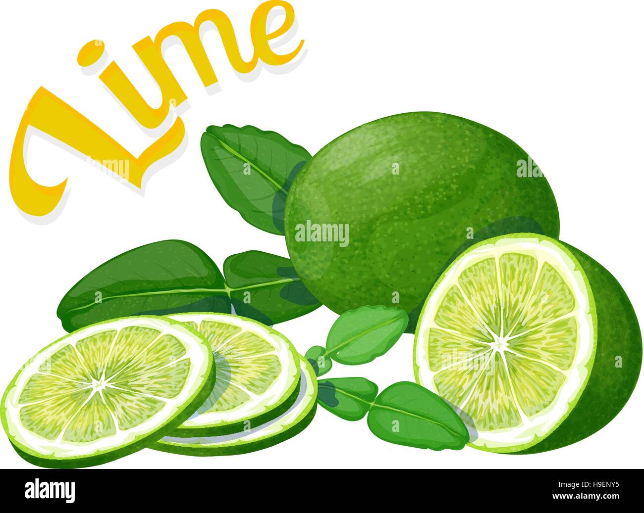 Lime. Vector illustration Stock Vector Image & Art - Alamy