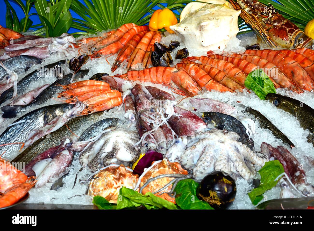 Fresh fish and seafood displayed outside a restaurant, Rethymno, Crete ...
