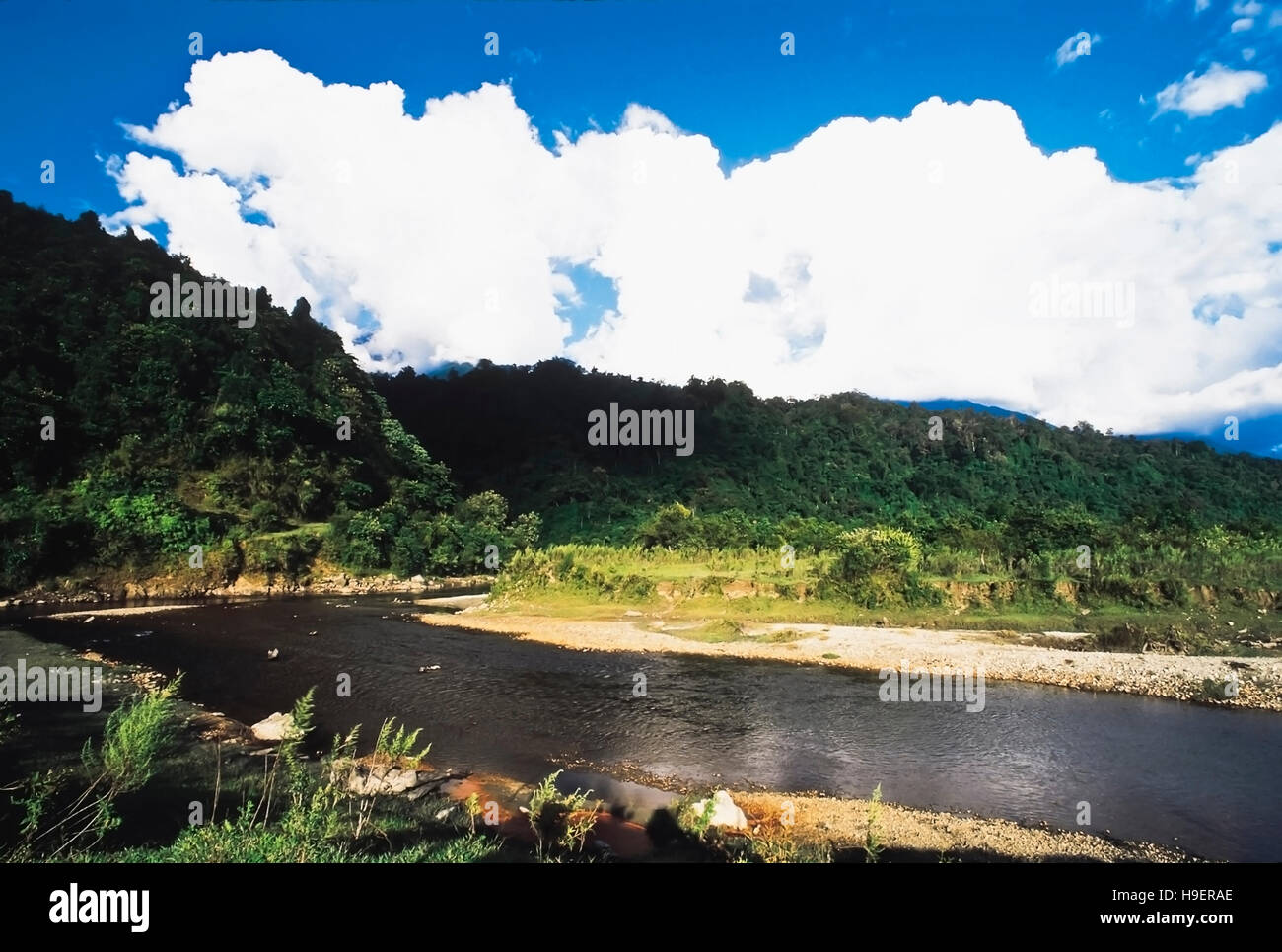 Dihing hi-res stock photography and images - Alamy