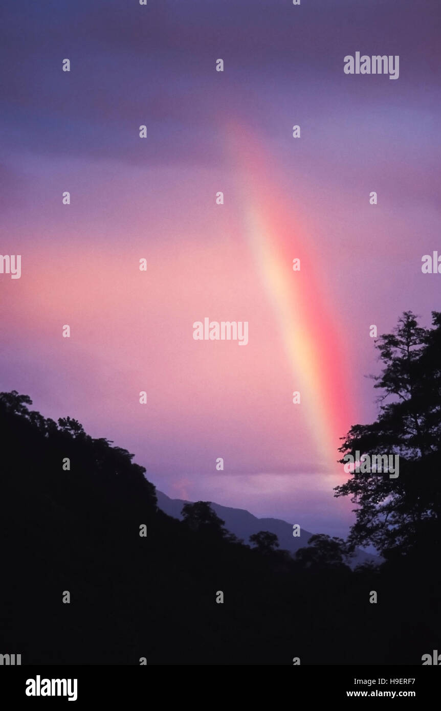 Rainbow over Namdapha National Park. Arunachal Pradesh, India Stock ...