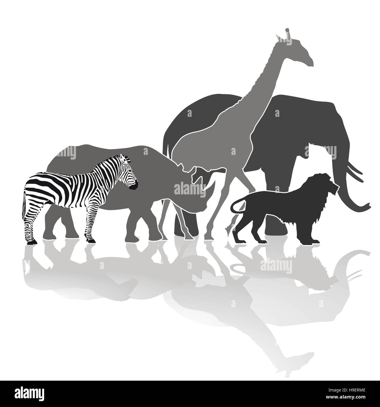 Wildlife and heritage Cut Out Stock Images & Pictures - Alamy