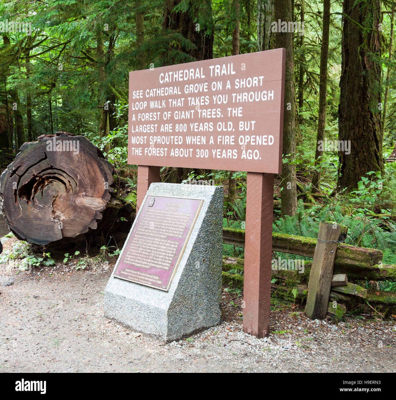 A sign at cathedral grove trail macmillan provincial park hi-res stock ...
