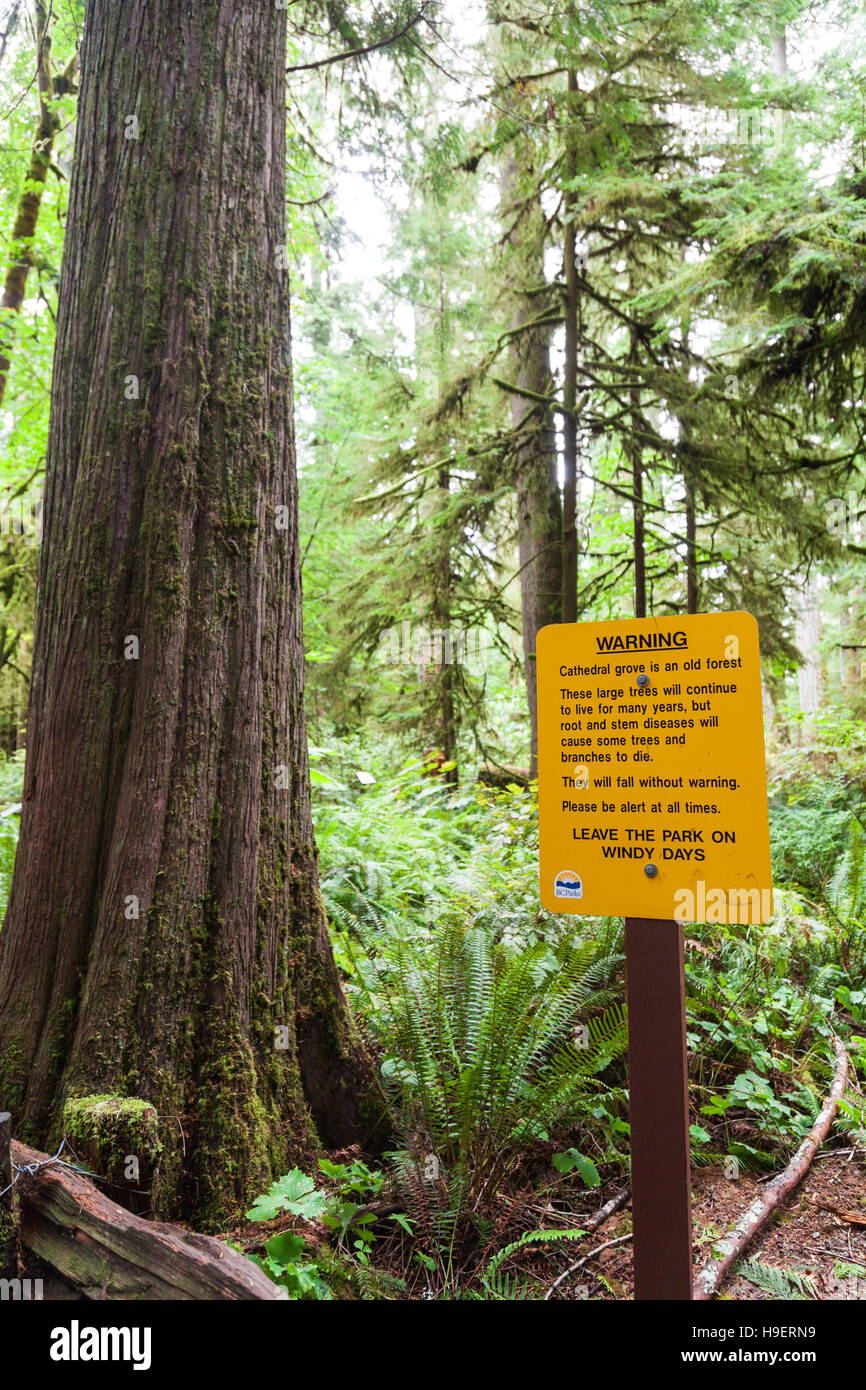 A warning sign at Cathedral Grove Trail MacMillan Provincial Park ...
