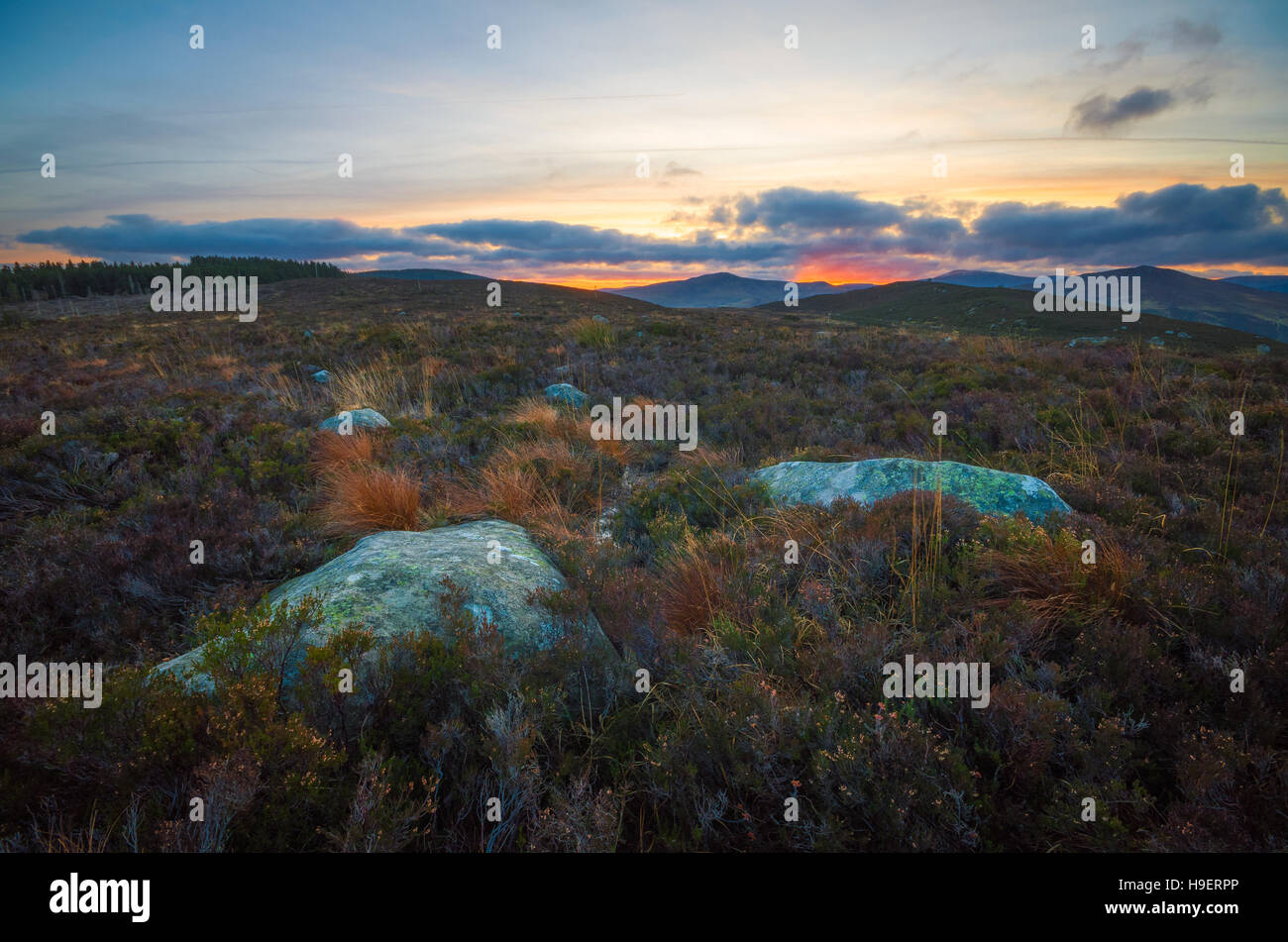 Dublin wicklow national park hi-res stock photography and images - Alamy