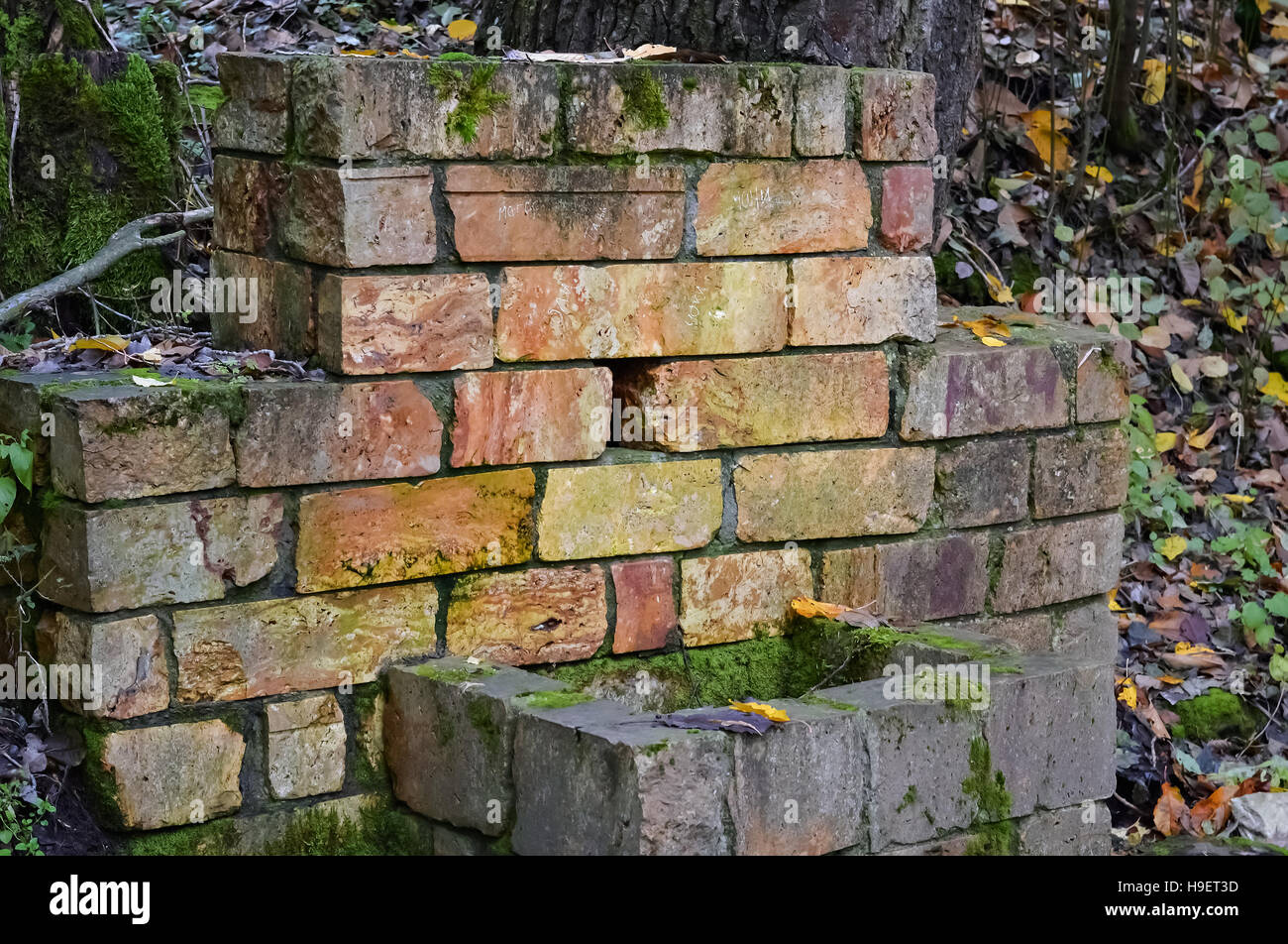 Generic vegetation and stones in beautiful colors of autumn Stock Photo ...