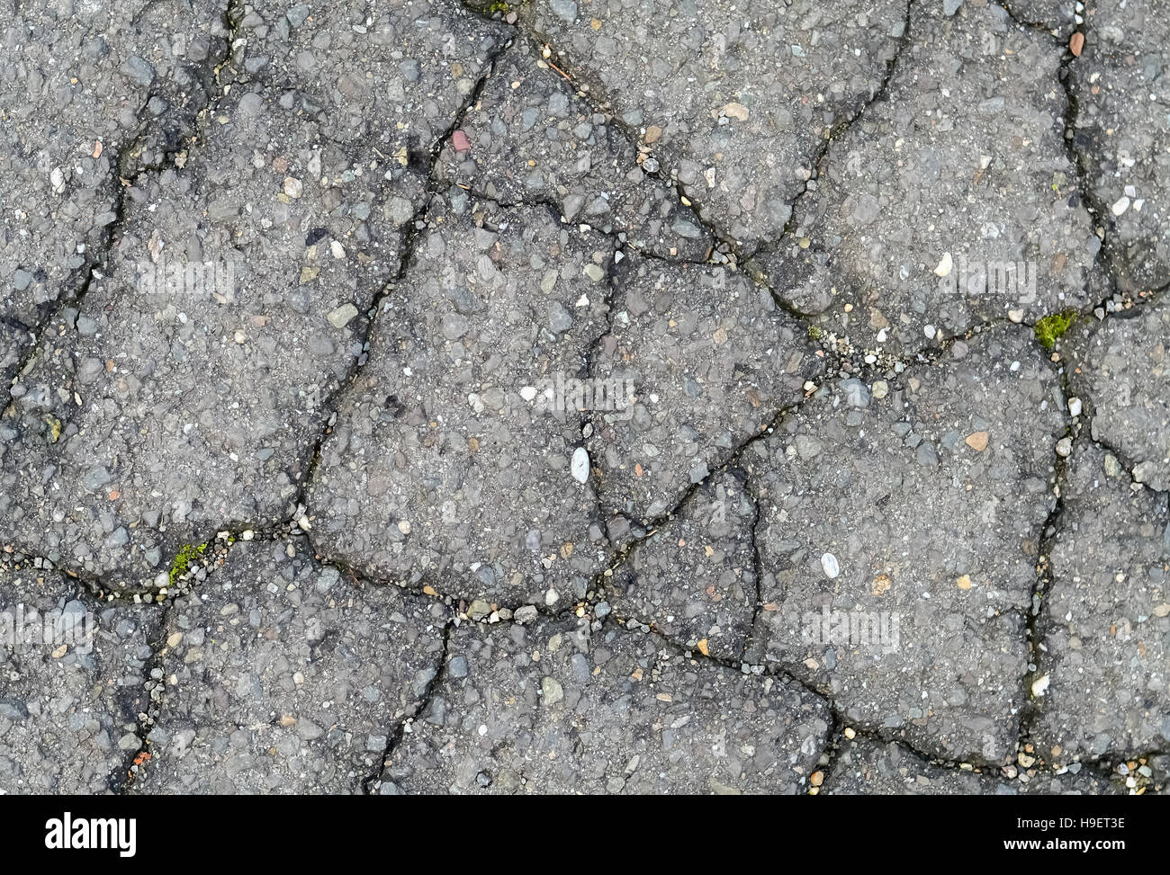 Closeup of damaged asphalt with many fissures Stock Photo - Alamy
