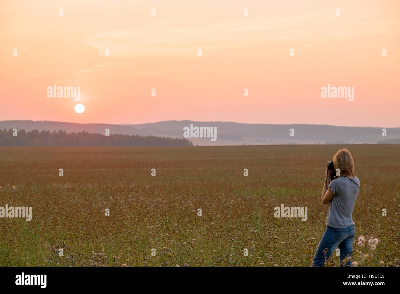 Wildflower field sunset hi-res stock photography and images - Alamy