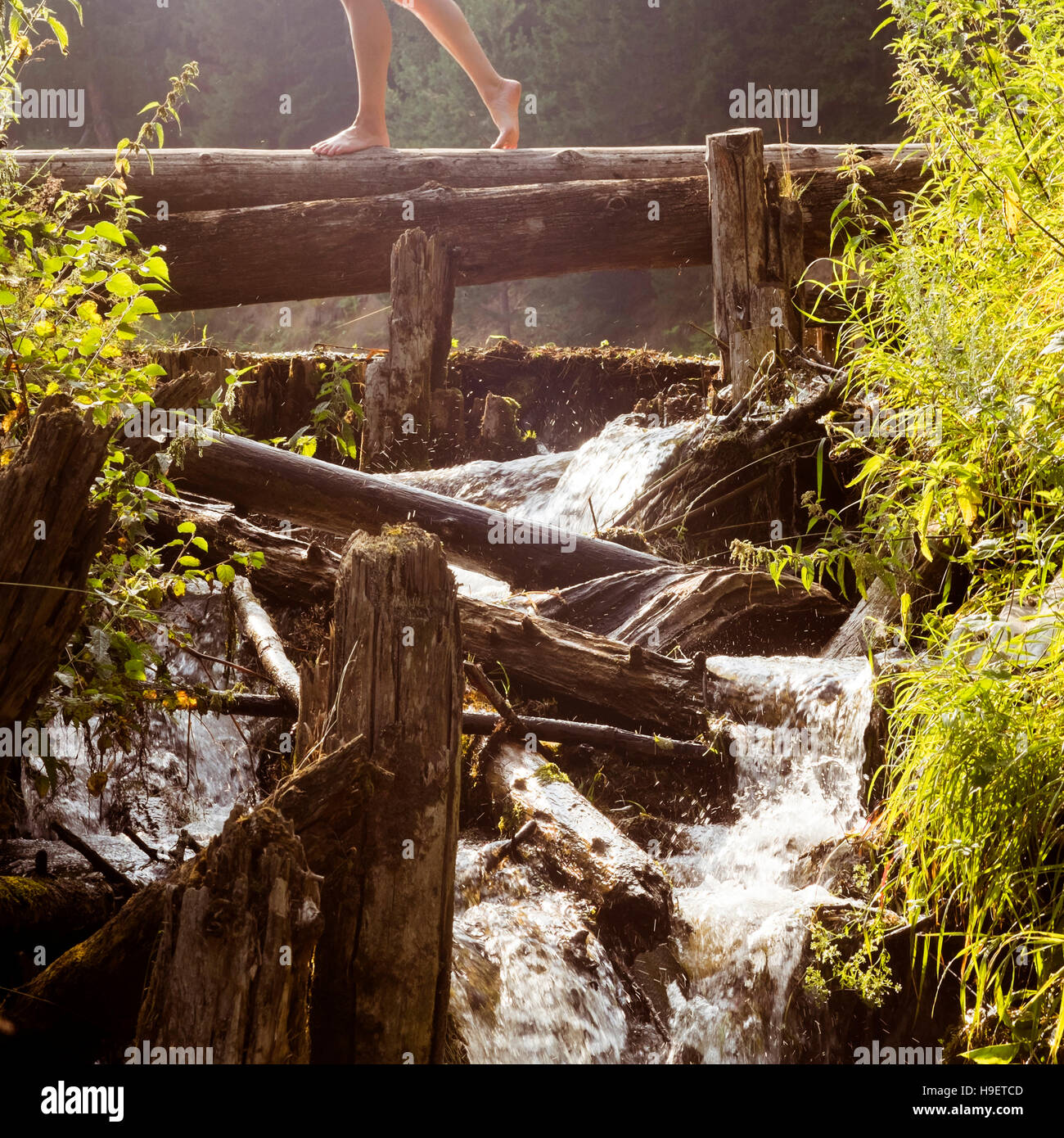 Legs of Caucasian woman walking on log crossing waterfalls Stock Photo ...