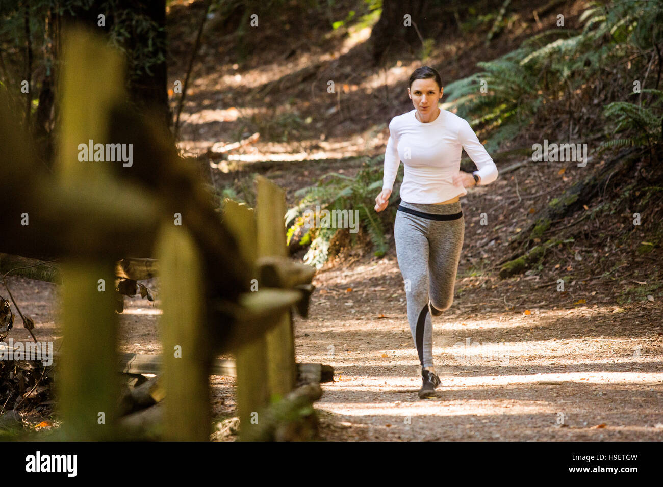 Human path hi-res stock photography and images - Alamy