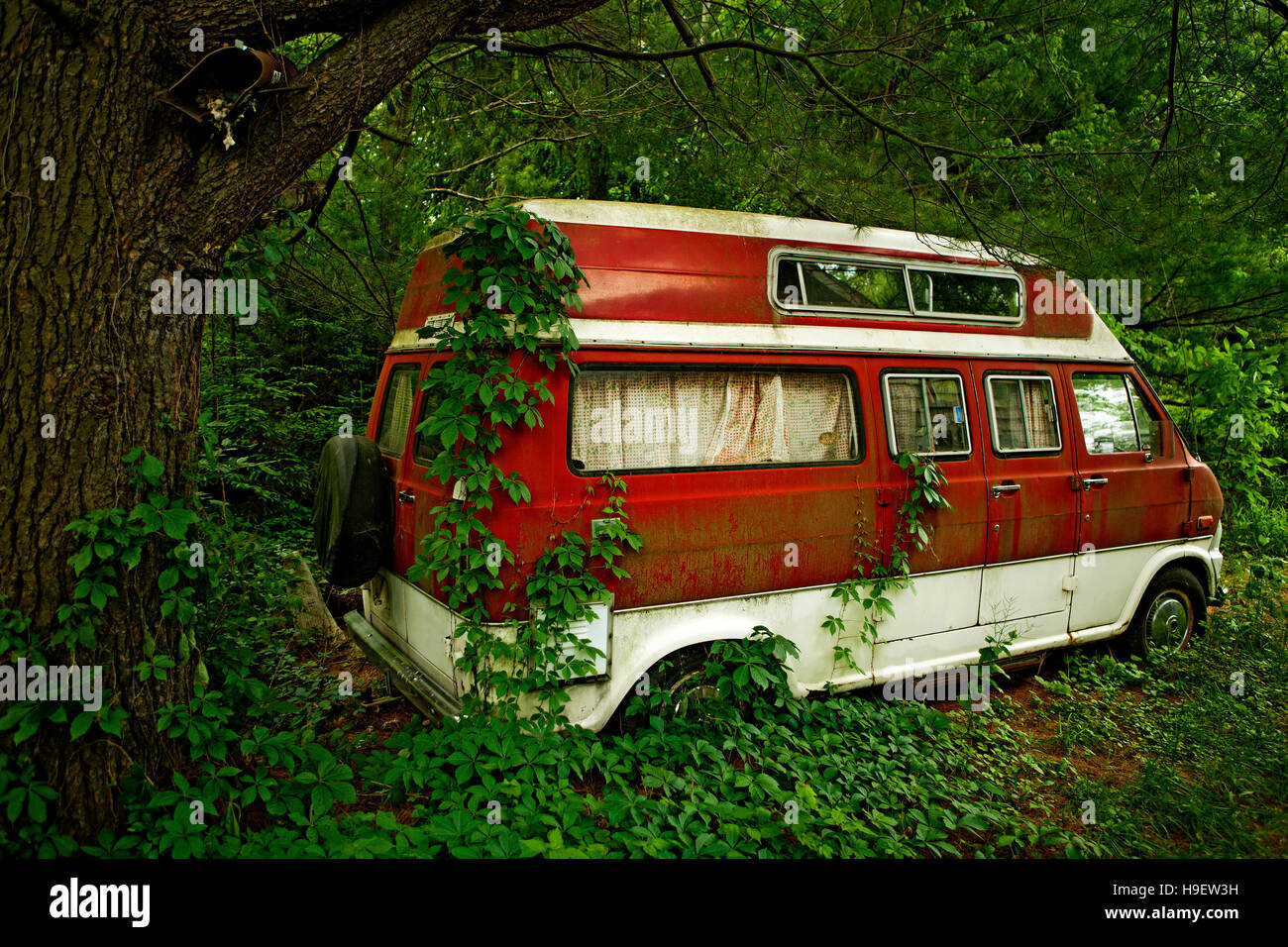Foliage growing on abandoned camper van in forest Stock Photo - Alamy