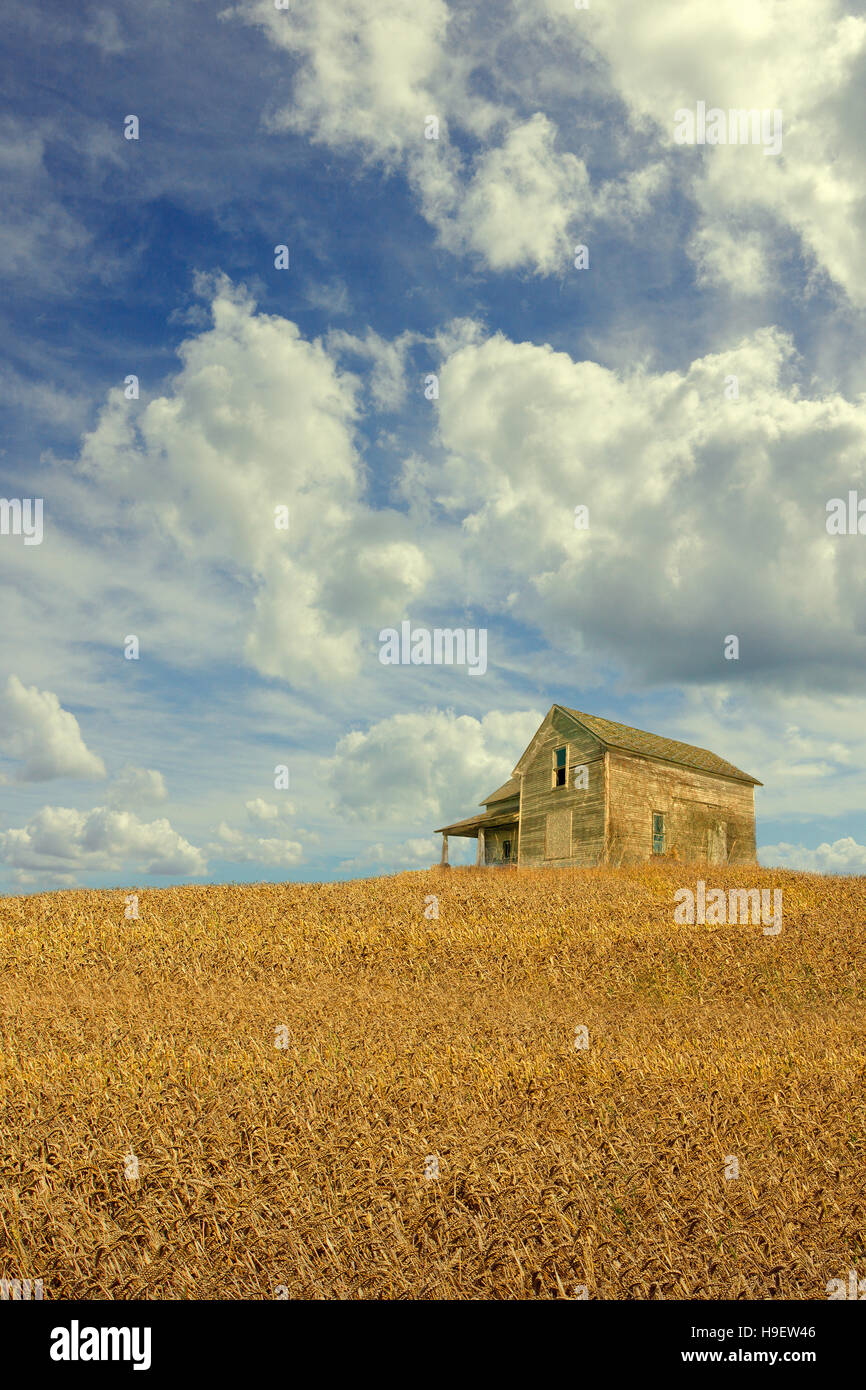 Remote hill farm hi-res stock photography and images - Alamy