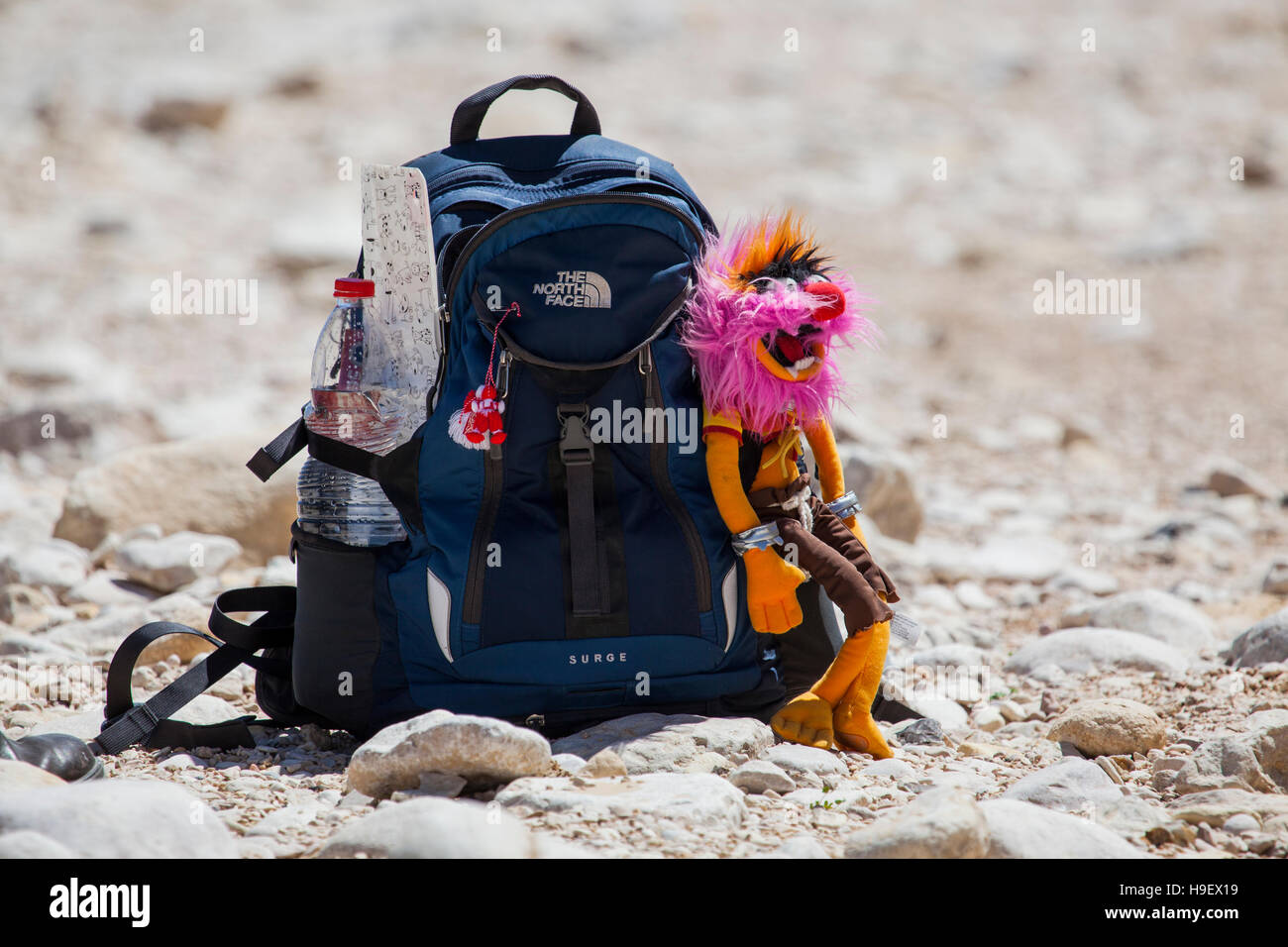 A traveler's backpack on a sandy desert ground Stock Photo - Alamy