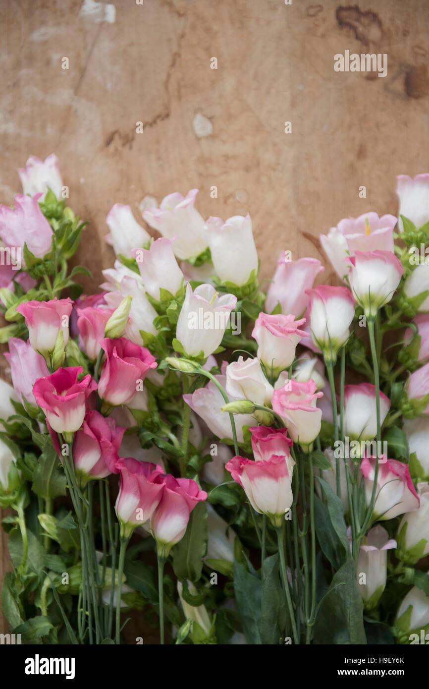 Flowers laying on wooden table Stock Photo - Alamy