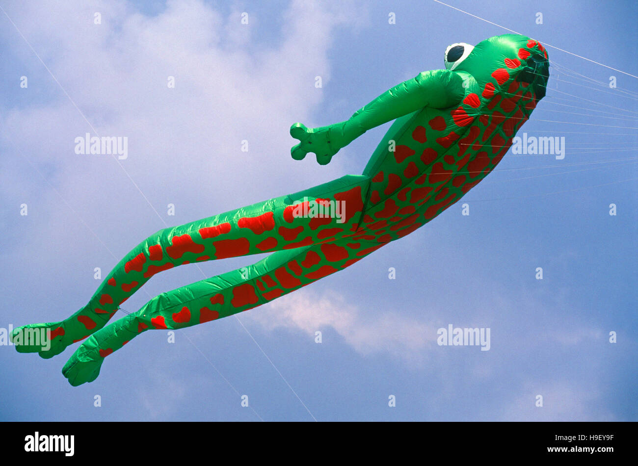 Frog shaped kite flying at the international kites meeting "Coloriamo i ...