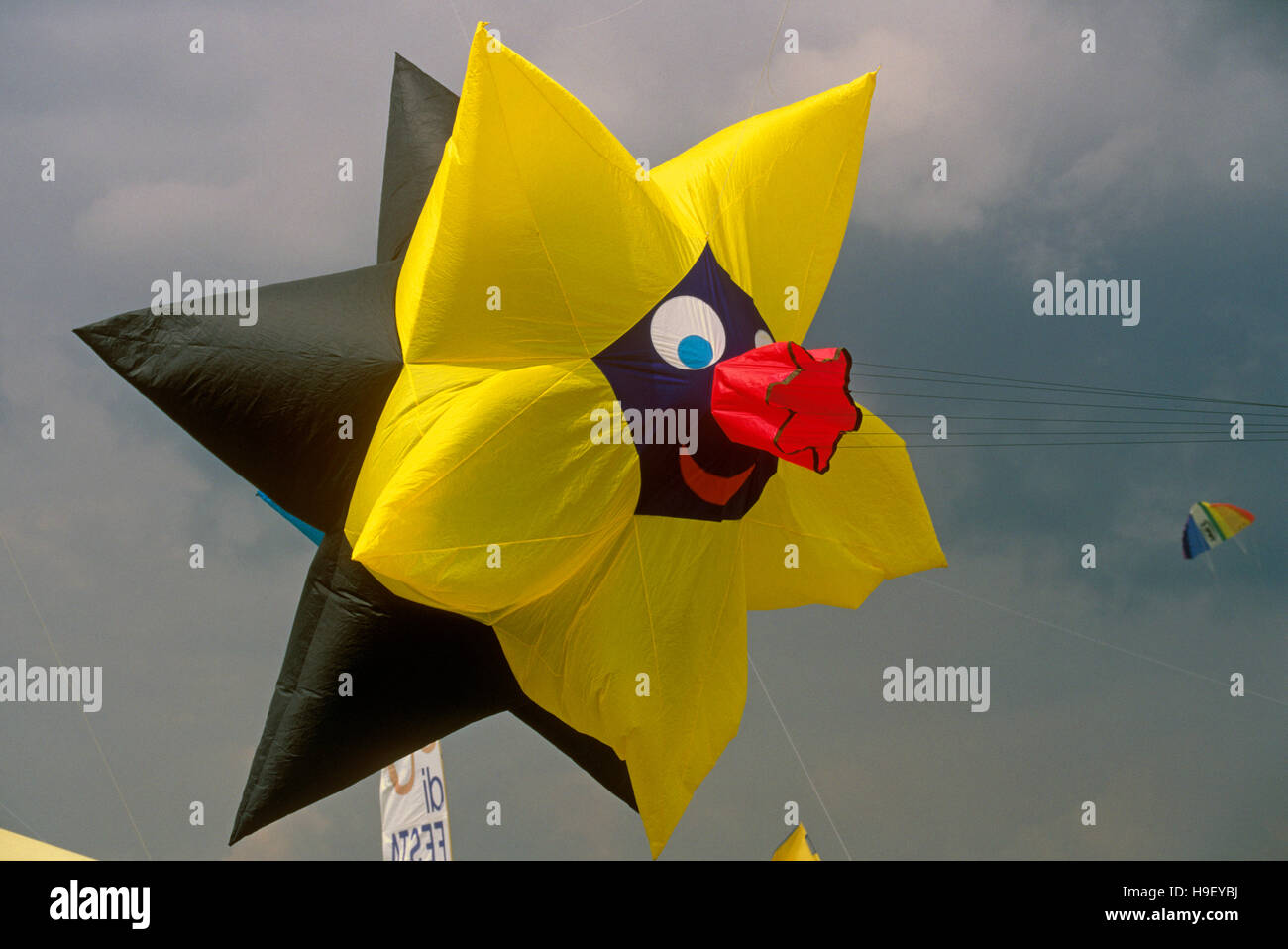 Flower shaped kite flying at the international kites meeting "Coloriamo ...