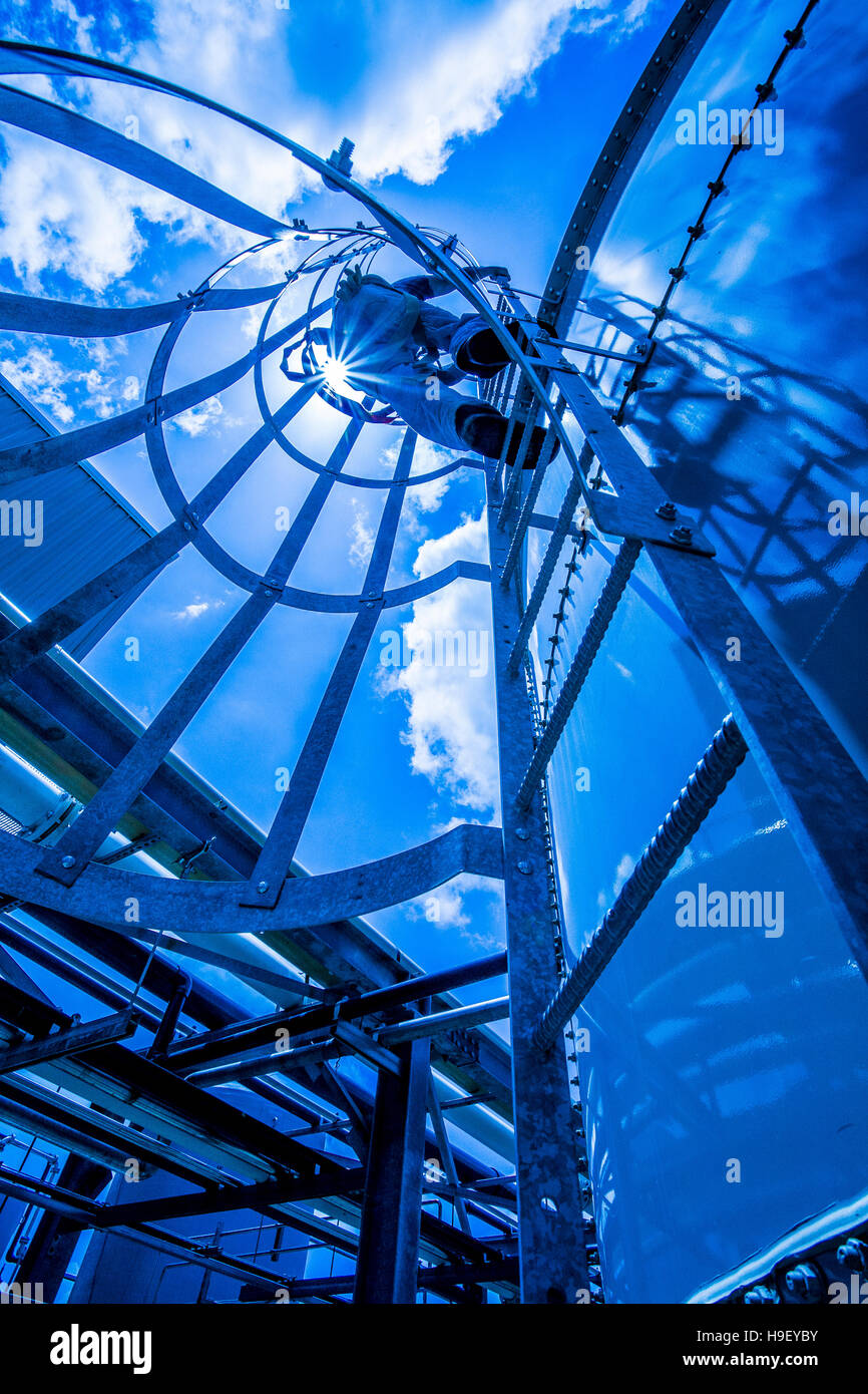 Caucasian man climbing ladder on storage tank Stock Photo - Alamy