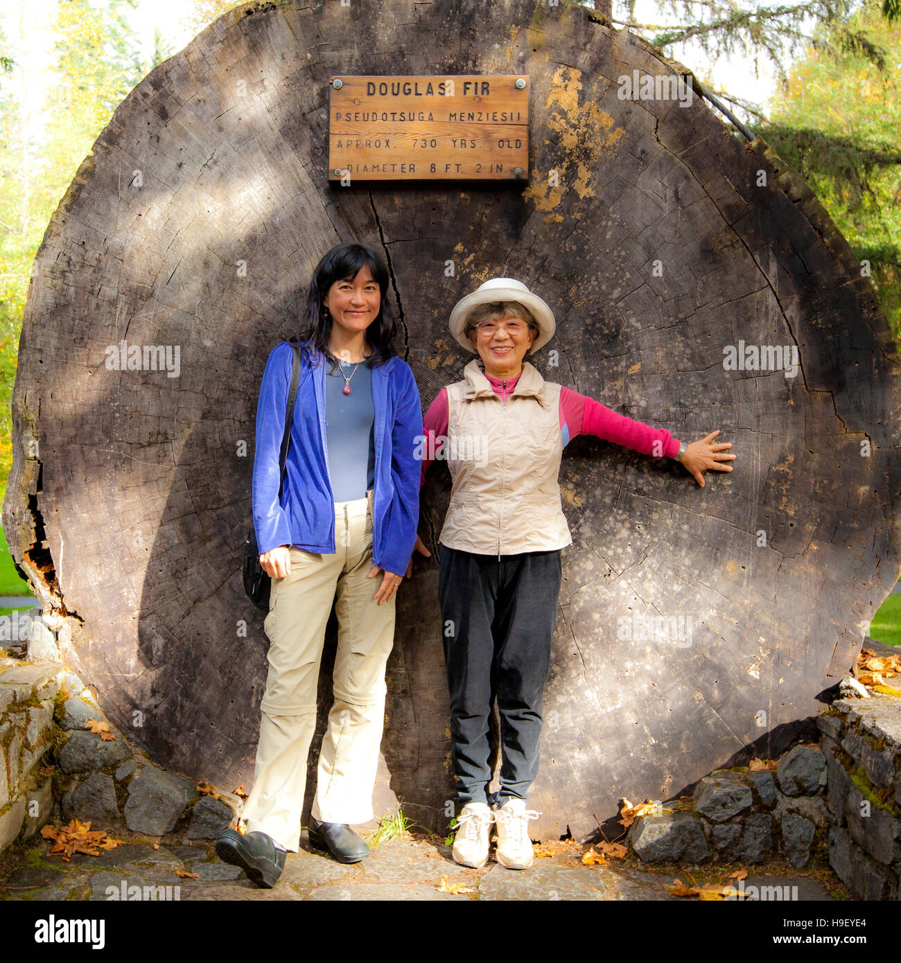 Smiling Japanese mother and daughter posing at tree stump Stock Photo ...