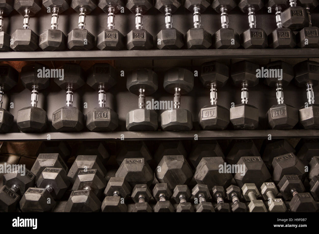 Dumbbells on rack Stock Photo - Alamy