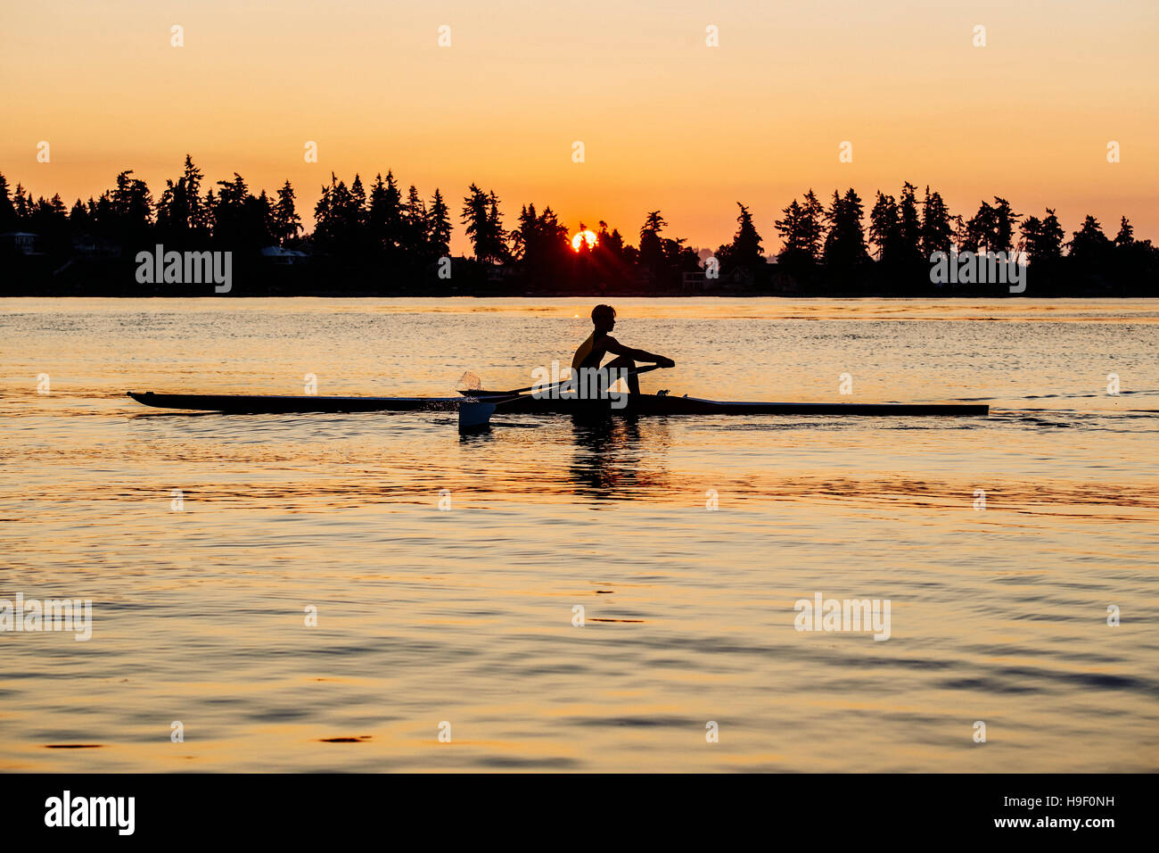 Silhouette of Caucasian man rowing at sunset Stock Photo - Alamy