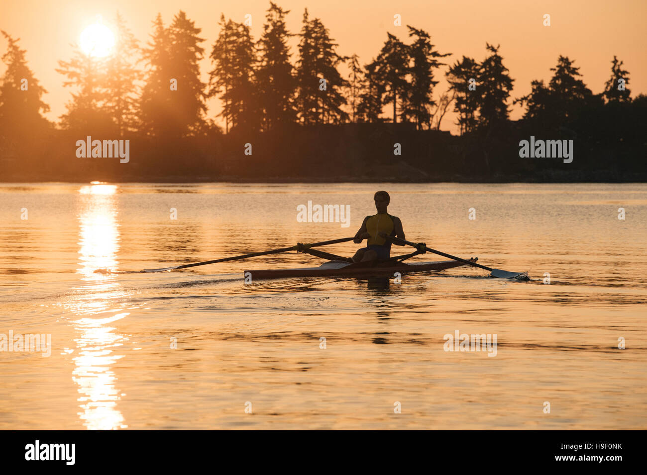 Caucasian man rowing at sunset Stock Photo - Alamy