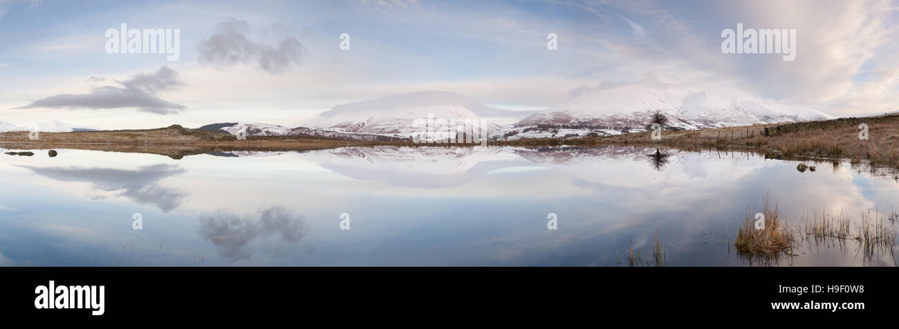 Tewet High Resolution Stock Photography and Images - Alamy