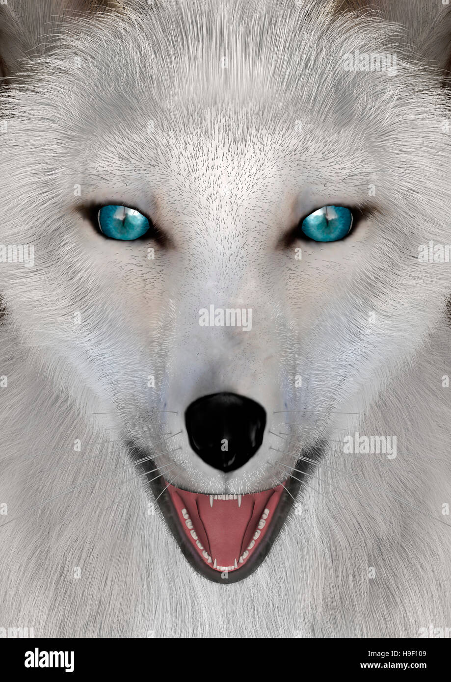 3D rendering of a head of an Arctic fox, closeup Stock Photo - Alamy