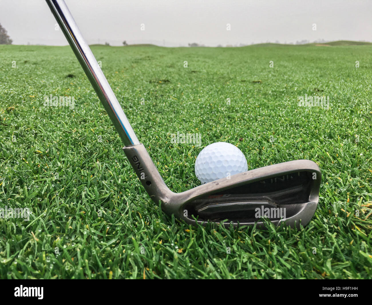 Empty fairway hi-res stock photography and images - Alamy