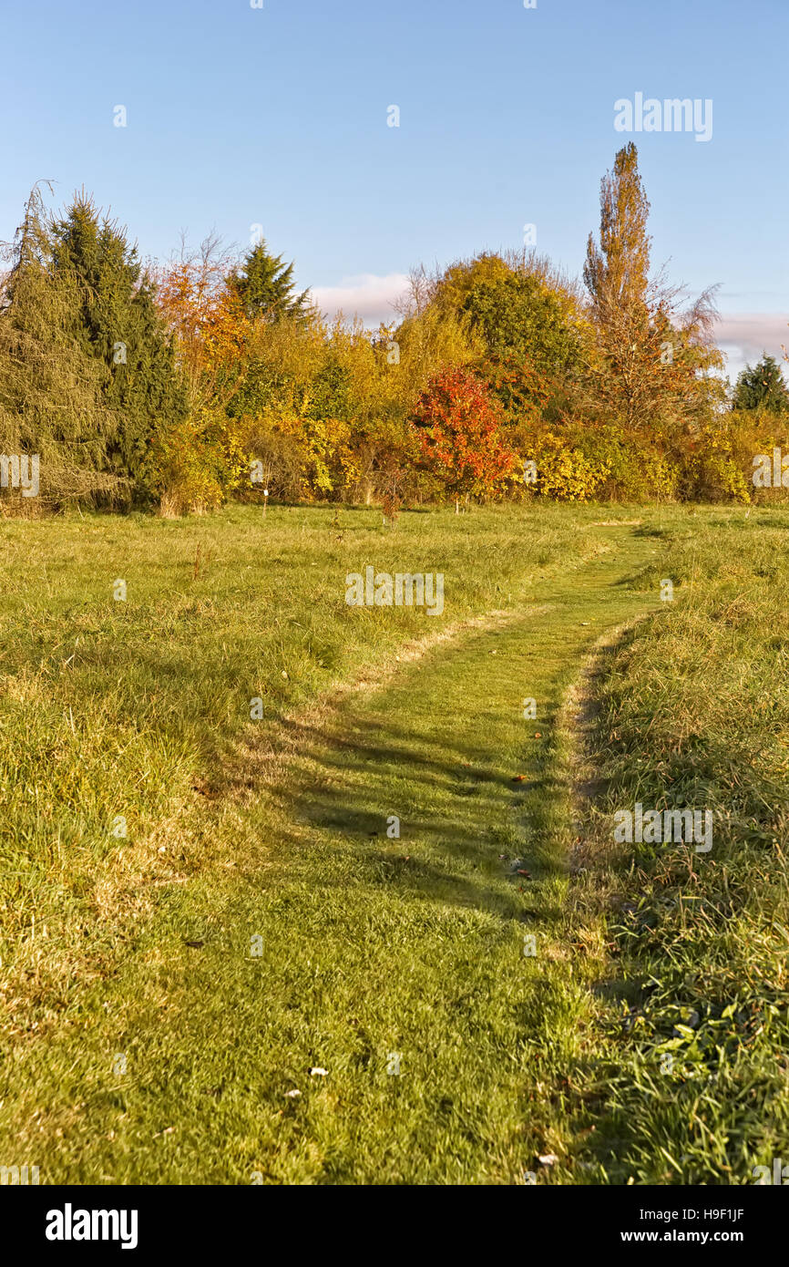 Empty environment hi-res stock photography and images - Alamy