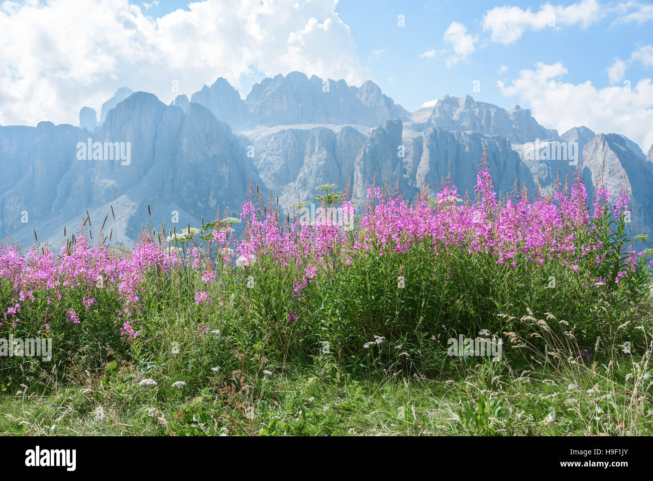 Val gardena italy hi-res stock photography and images - Alamy
