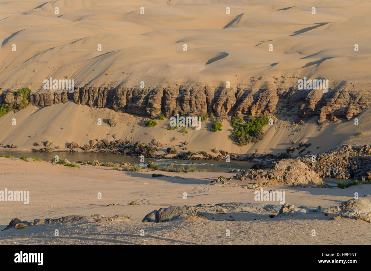 Kunene River in front of towering ancient Namib Desert sand dunes of ...