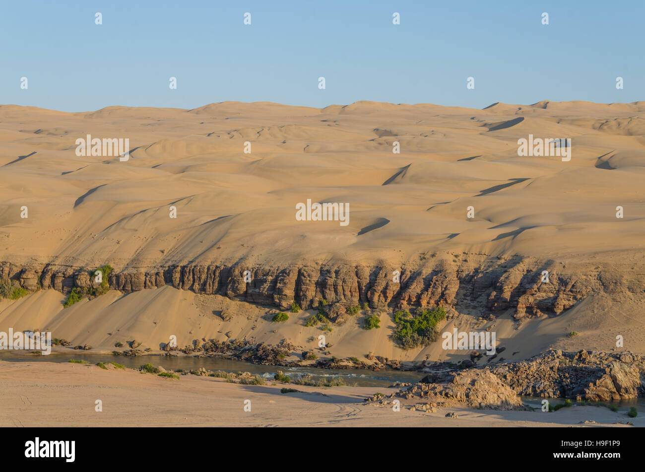 Kunene River in front of towering ancient Namib Desert sand dunes of ...
