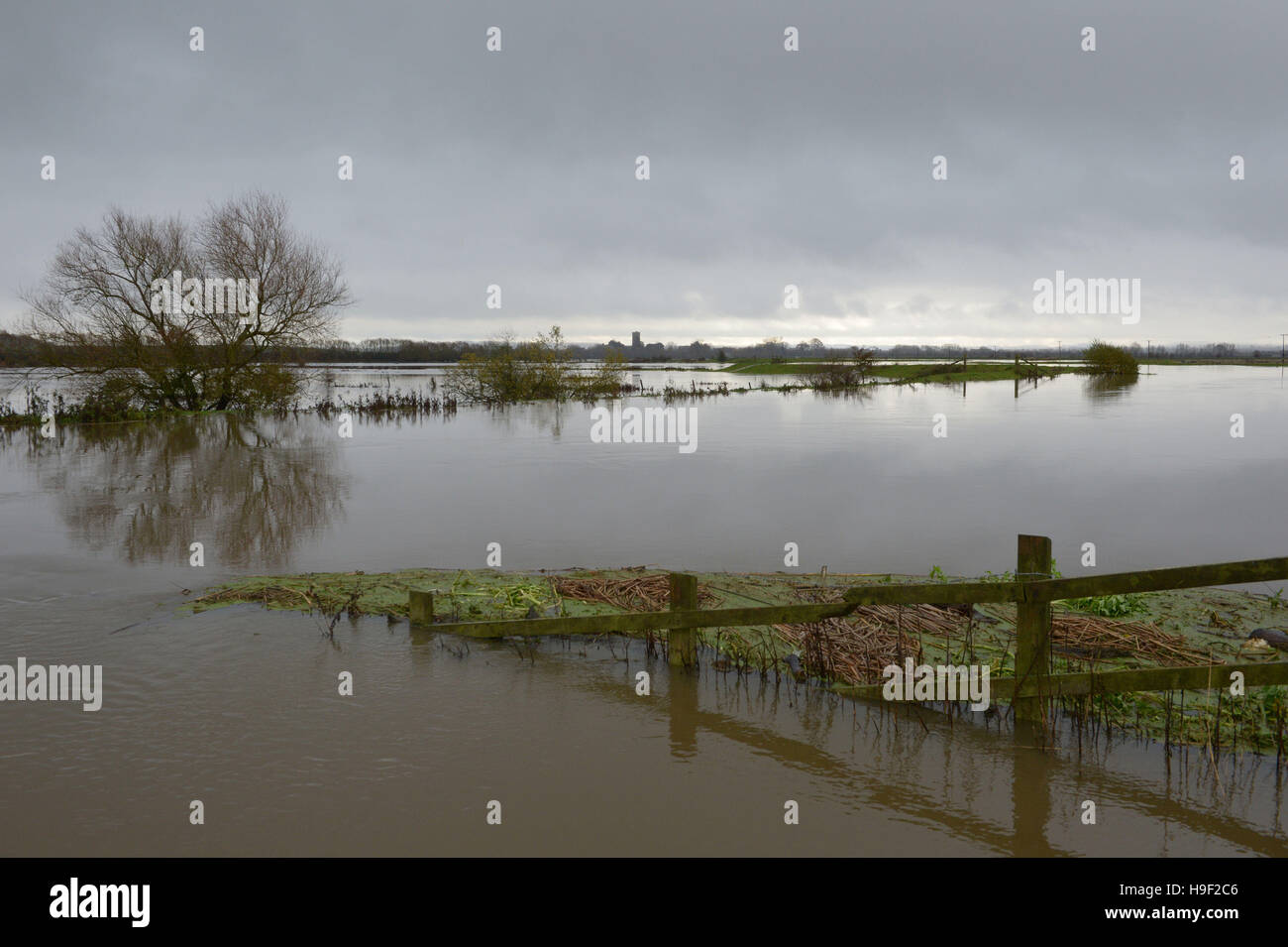 Flooding on the Somerset Levels near Muchelney as heavy rain, strong ...