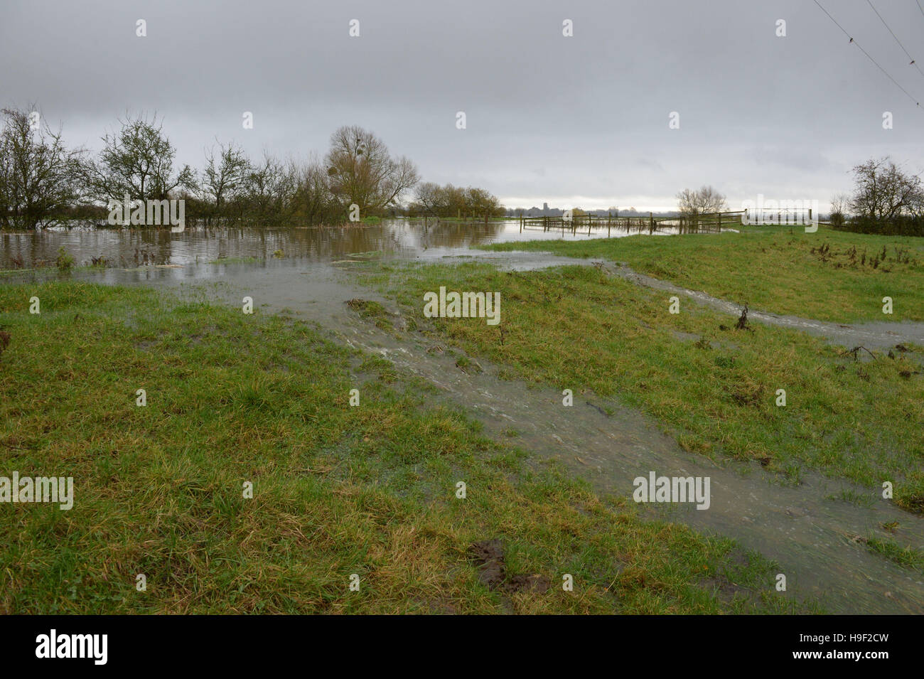 Flooding on the Somerset Levels near Muchelney as heavy rain, strong ...