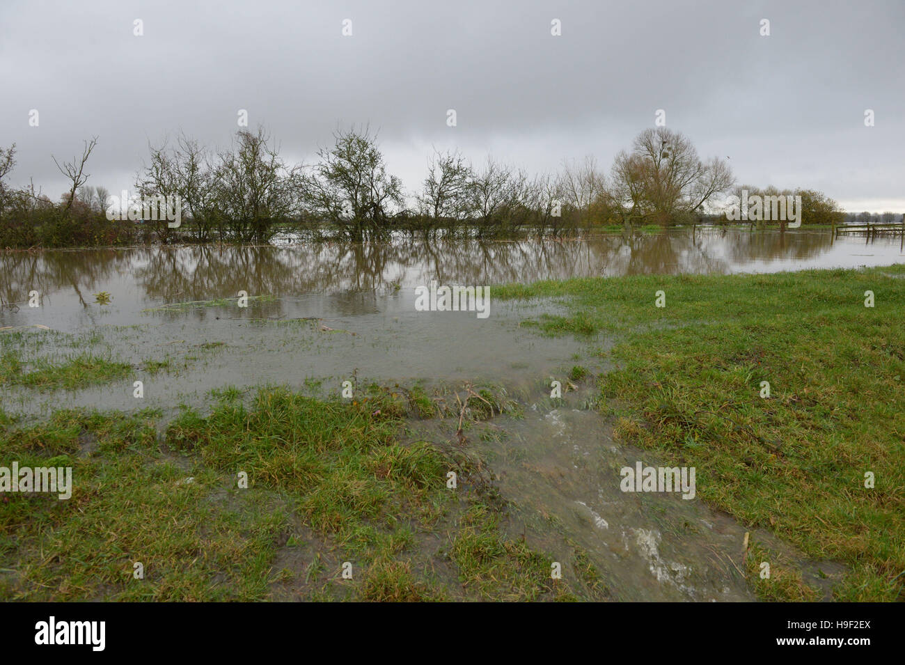 Flooding on the Somerset Levels near Muchelney as heavy rain, strong ...