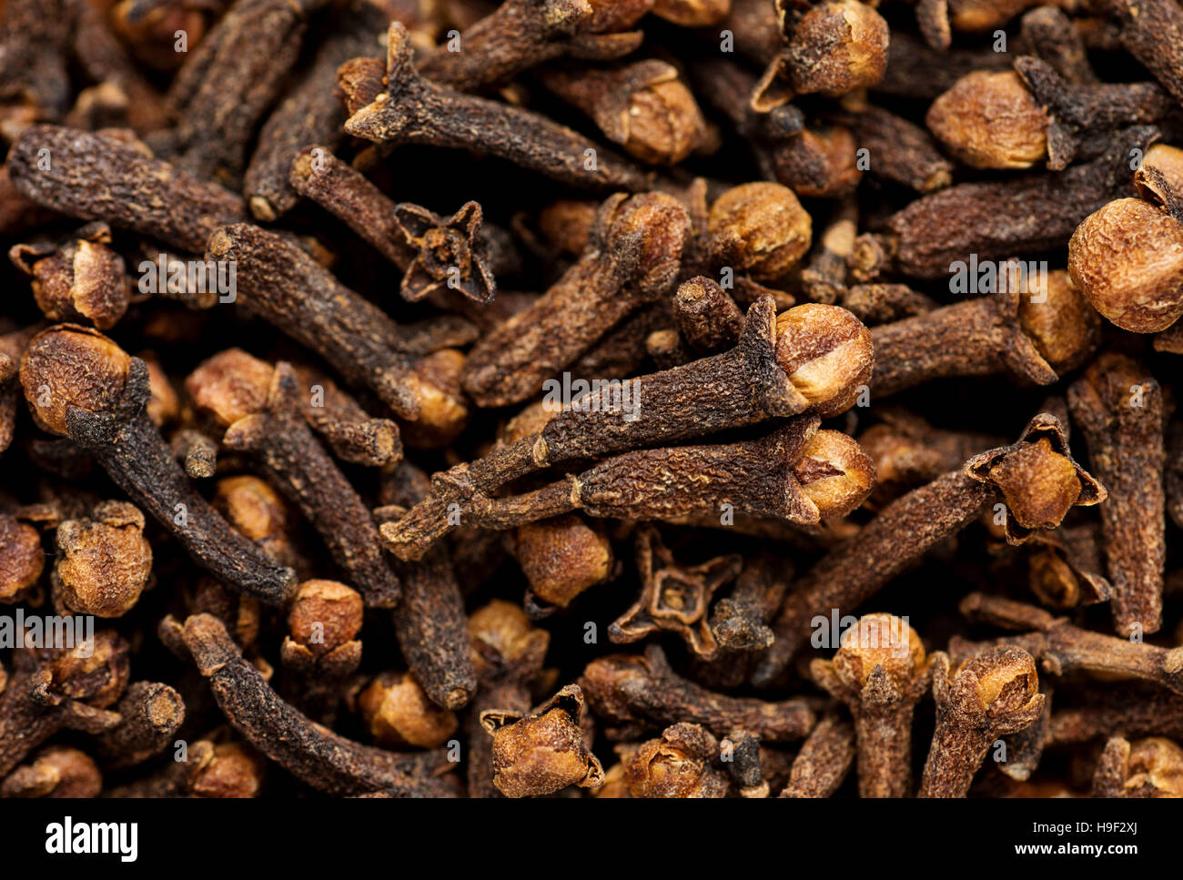 freshly dryed clove spice texture, Bali Indonesia Stock Photo - Alamy