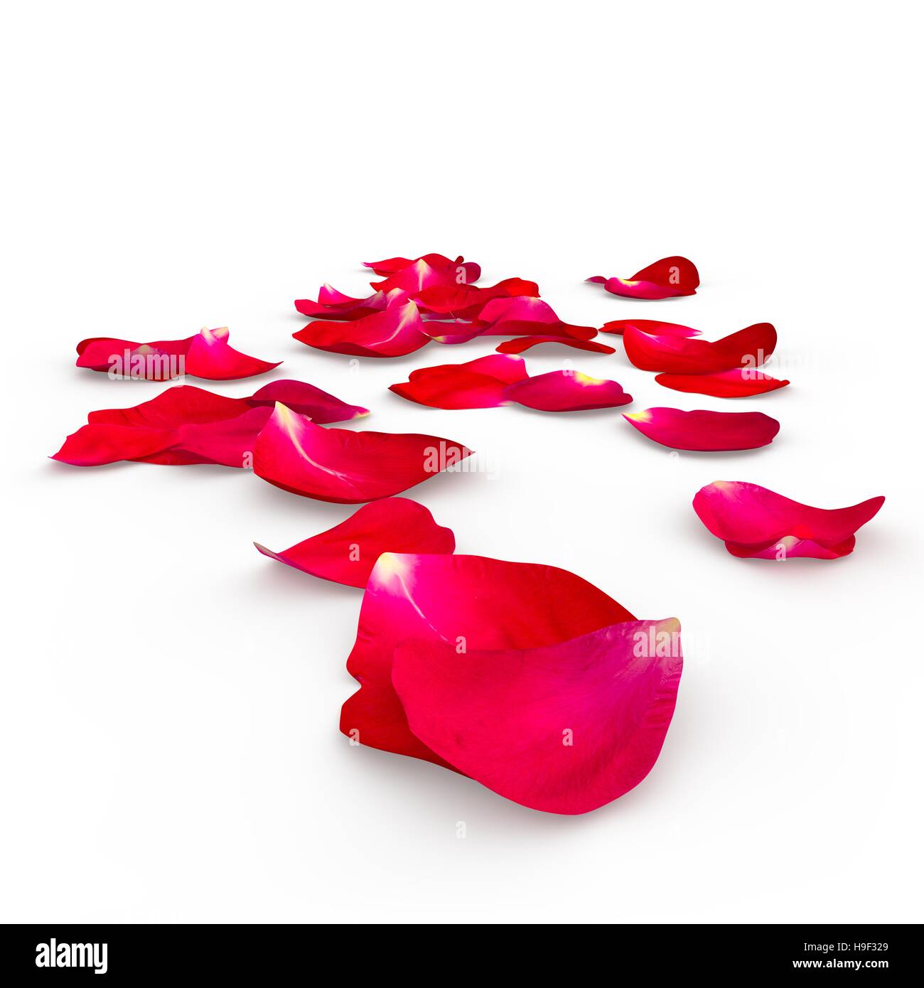 Petals of a red rose lying on the floor. Isolated background. 3D Render ...